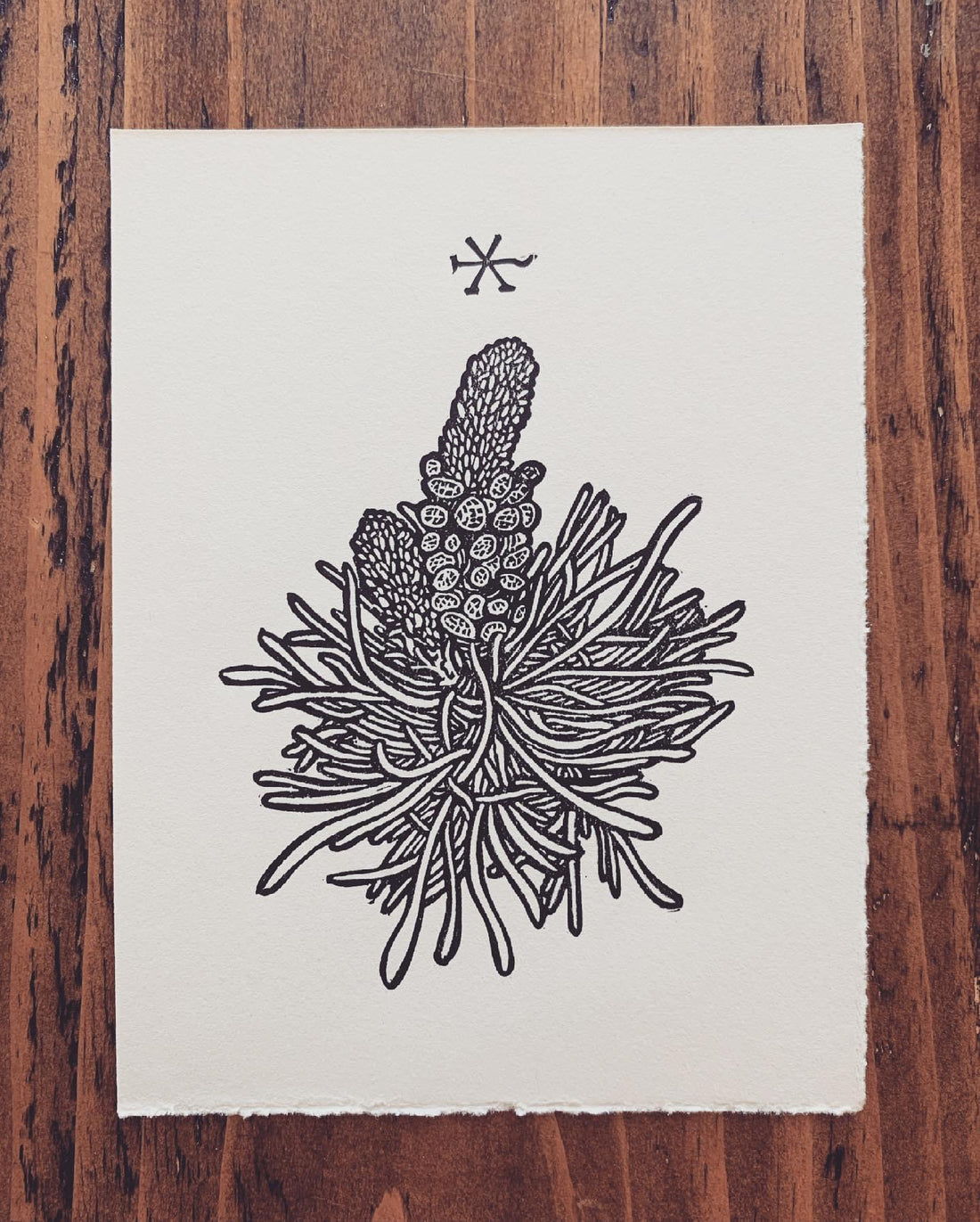 'Summer' linocut print (Loose) – Redcaps Montrose